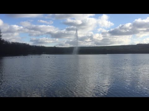 Echternach Lake Winter Luxembourg