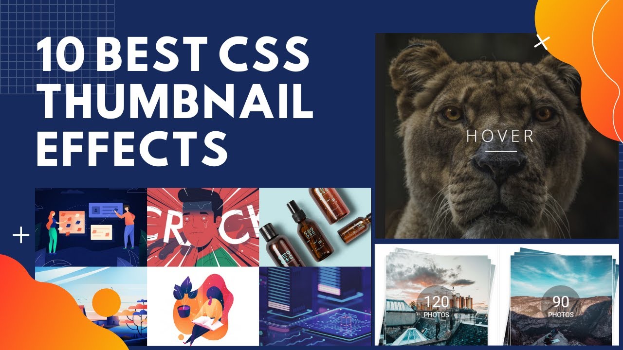 Top 10 Best CSS Thumbnail Effects | Top On Hover CSS Thumbnail Effect | Wpshopmart