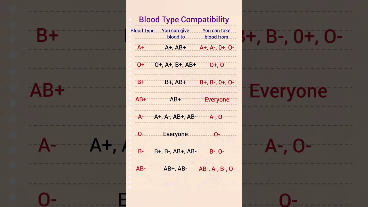 Blood Type Compatibility #gk #shorts