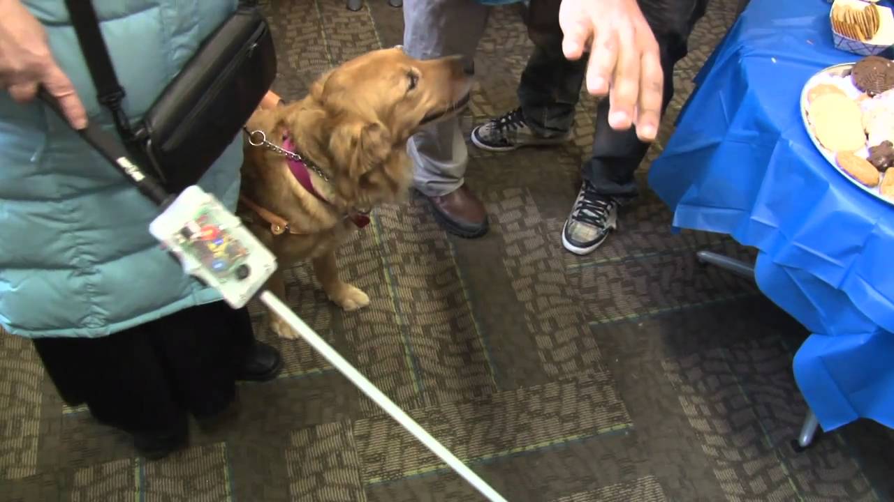 Penn Haptics and Robotics Demonstration