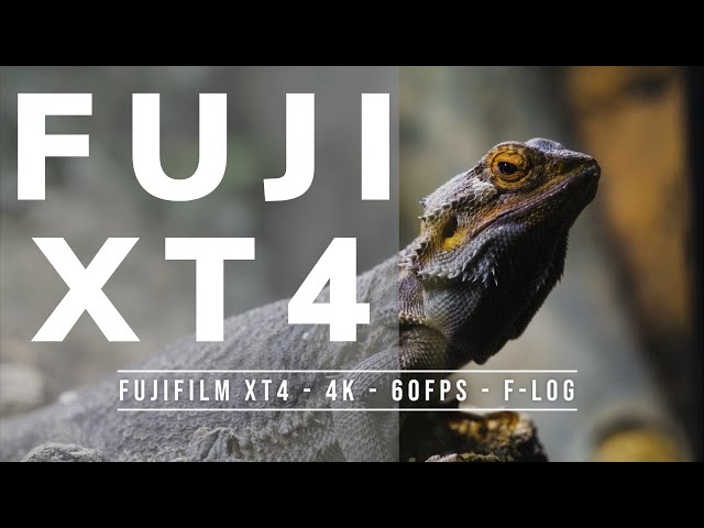 Genero Design System - Multiloader