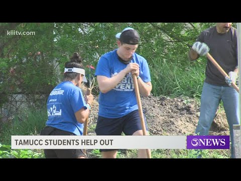 Texas A&M Corpus Christi volunteers with Habitat for Humanity