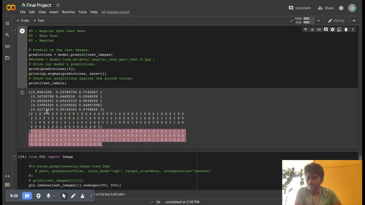 Demo Link for Image Classification Final Project