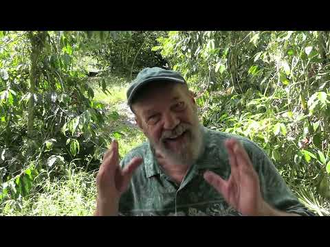 Temperate vs Tropical Annuals & Perennials