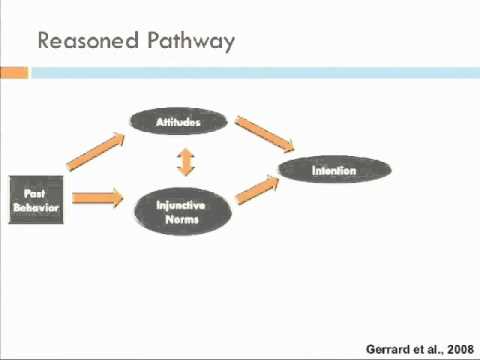A Dual-Process Approach to Young Adult Alcohol Use: Theoretical and Clinical Implications