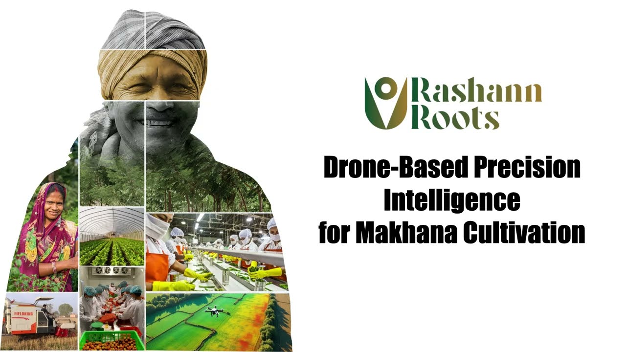 Makhana Crop Health Analysis Sample
