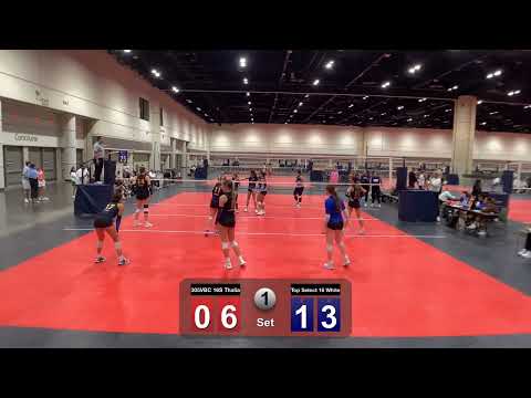 Top Select 16 White vs 305VBC 16S Thalia