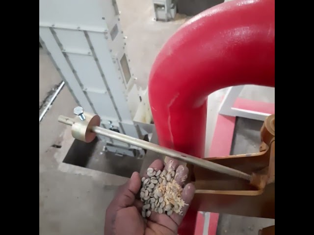 Coffee Dry Processing Machine - 28 Inch Smout Peeler Polisher ...