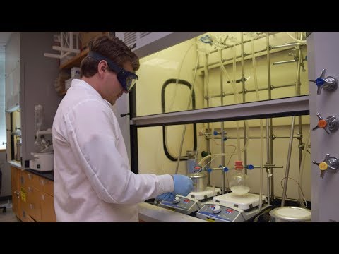 Explore Undergraduate Research