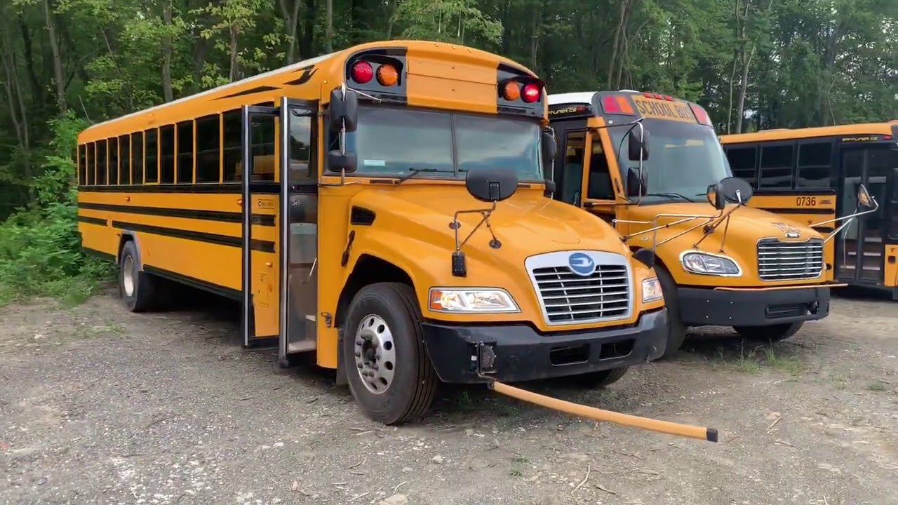 2015 Bluebird Vision