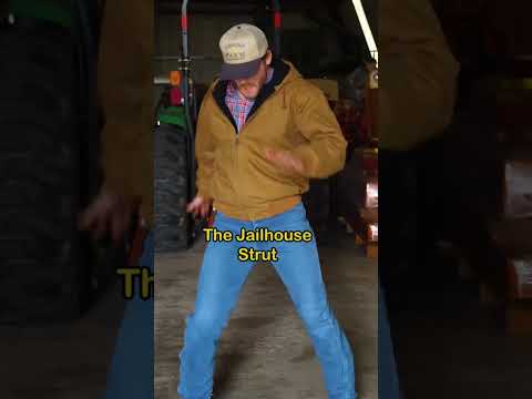ELVIS DANCE MOVES TO LEARN πΊπΌππ» #dance #elvispresley #farm