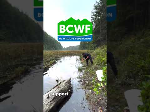 It's Time for Wetland Restoration: World Wetlands Day 2023