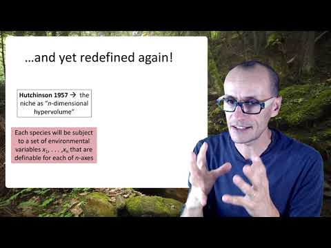 Week 2 - Video 1 Niche concept