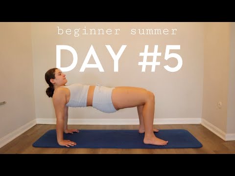 Day #5 Beginner Summer 30 Day Workout Challenge - Arms/Abs 18 Mins At Home No Equipment