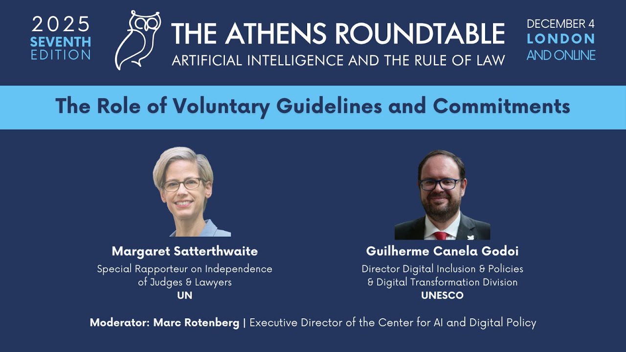 Session 5 | Panel: The Role of Voluntary Guidelines and Commitments | Athens Roundtable 2025