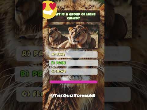 Fun Animal Quiz! Whatβs a Group of Lions Called? #shorts #quiz #fyp #trivia #viral #usa