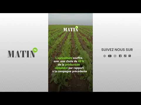 Climat : 2024, année la plus chaude jamais enregistrée au Maroc