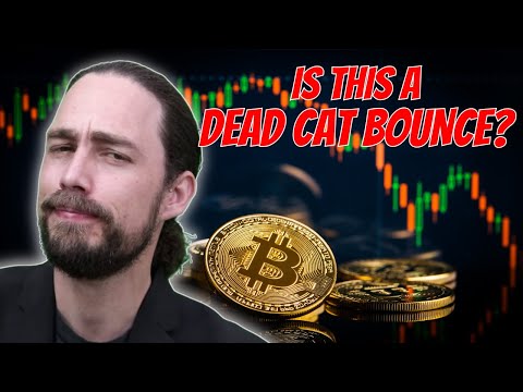 Dead Cat Bounce? The Truth About Bitcoin’s Rebound ????????