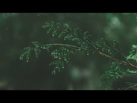Unveiling Reality: A Philosophical and Analytical Exploration of Truth Part 11