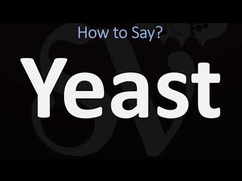 How to Pronounce Yeast? (CORRECTLY)