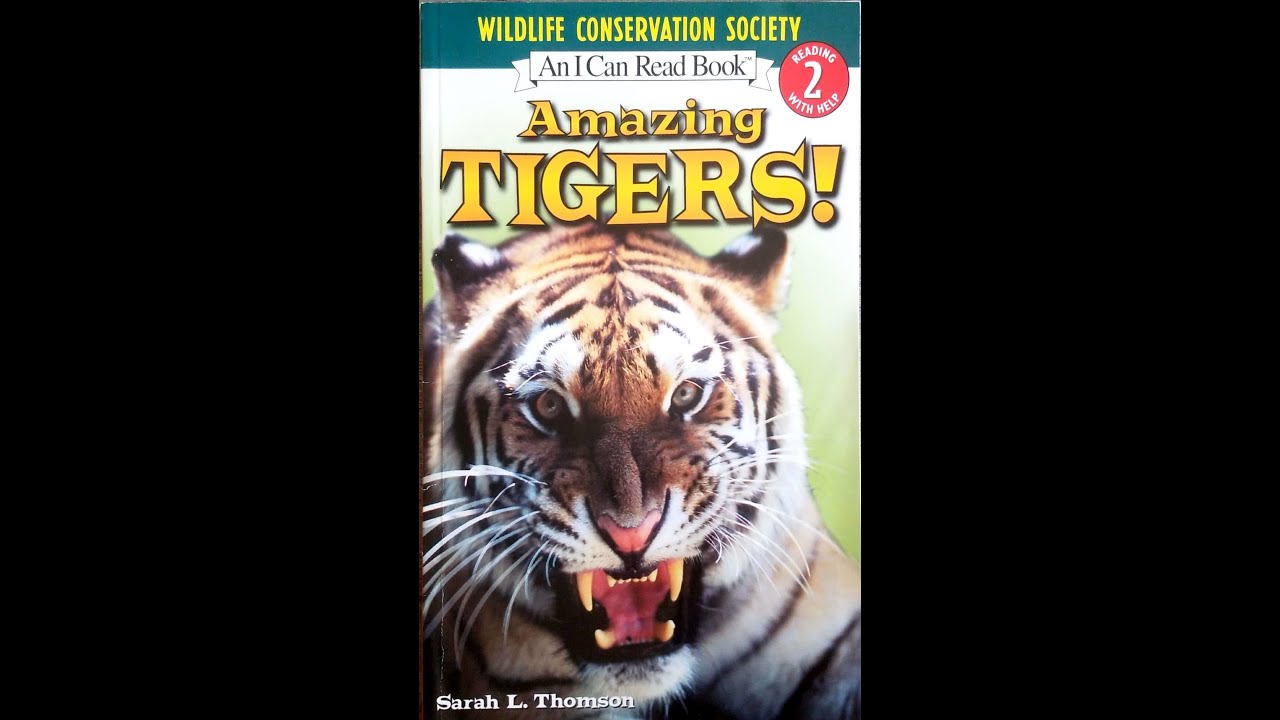 Read Aloud- Amazing Tigers by Sarah L. Thomson | Non-fiction Animals