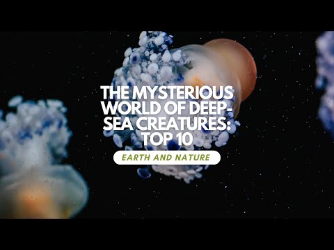 The Mysterious World of Deep Sea Creatures Top 10