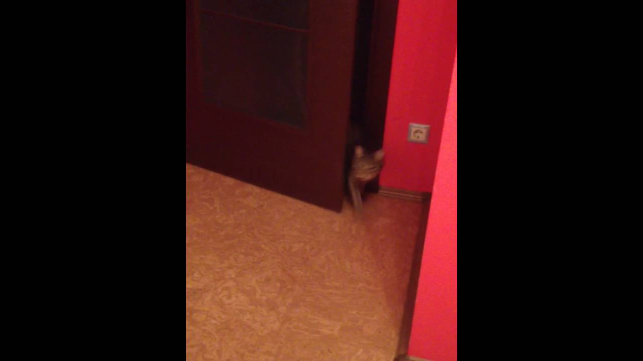 Squeaky asshole enters the room
