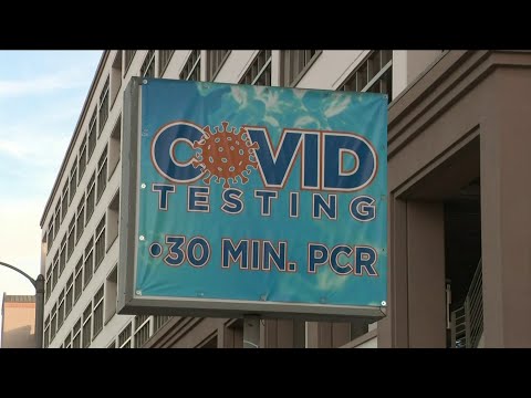 Omicron not as prevalent as first thought but remains dominant variant: CDC