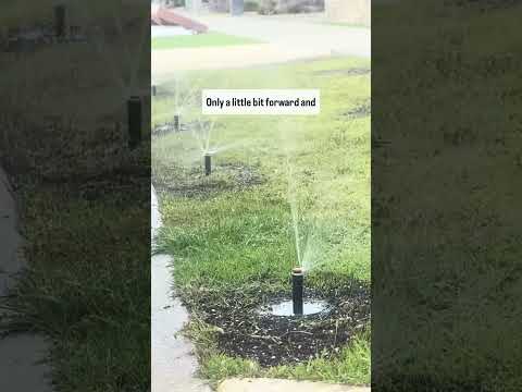 💧 MP Rotator Side Strips – The Perfect Sprinkler for Skinny Verges! 🌿