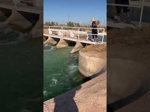 Fishing in Calexico 5 minutes from Mexico’s Border Line #calexico #border #fishing