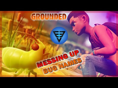 Steam Community :: Video :: Bug names on wish.com Grounded #shorts