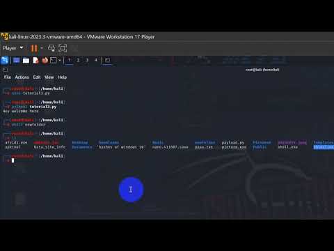 linux commands for ethical hacking