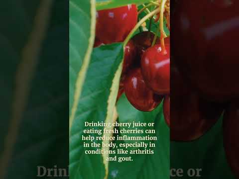 health benefits of cherries protects inflammation #shorts #cherry #cherryblossom