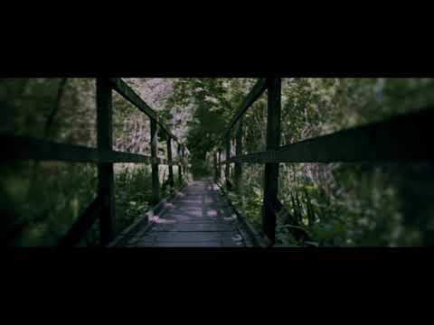 A FOREST BMPCC 4k filmed in Braw on Sigma 18-35 & Sigma 10-20mm lenses.