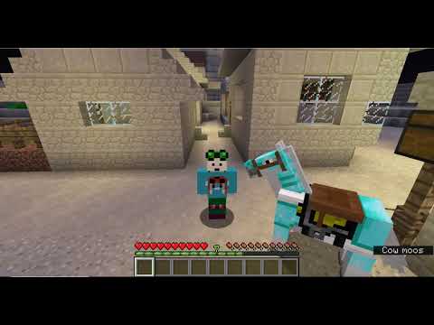 Max News