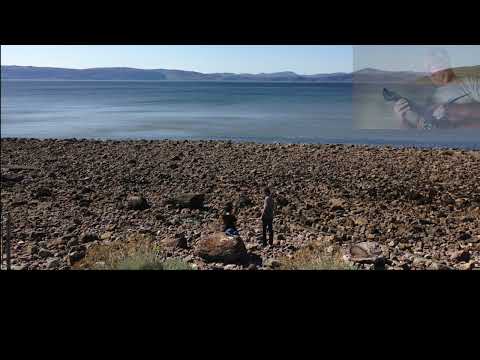 Urchins 003 Applecross