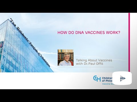 How Do DNA Vaccines Work?