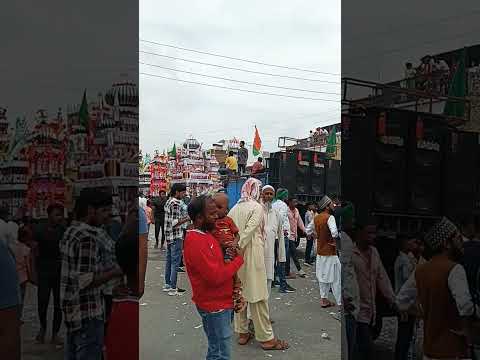 10वी मोहर्रम परतावाल💕💗🤲 #viralvideo #yaali #wearehusaini #karbala #muharram #love #husain #tajiya