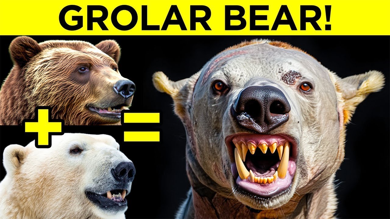 Scariest Hybrid Animals That Actually Exist