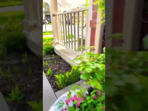 #shorts Lily of the valley may birth flower #shortsyoutube