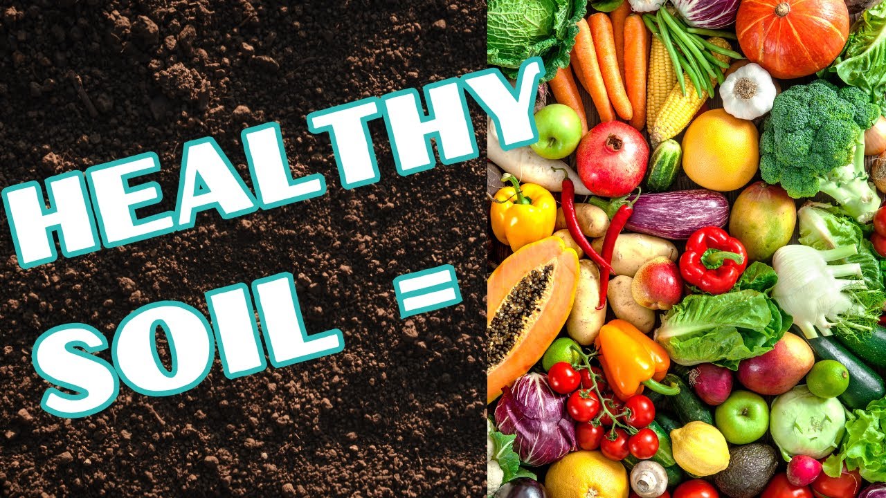 How to improve soil health and fertility  - 5 tips