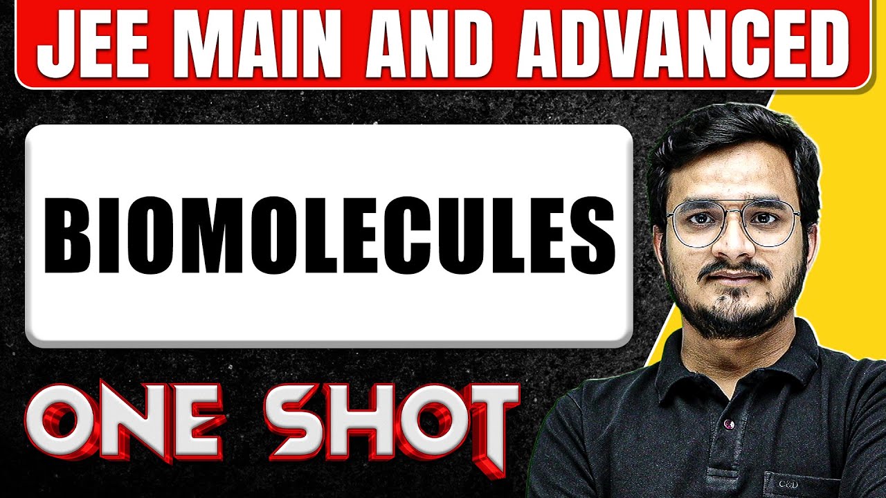 Understanding Biomolecules: A Comprehensive Guide for JEE Aspirants | Galaxy.ai