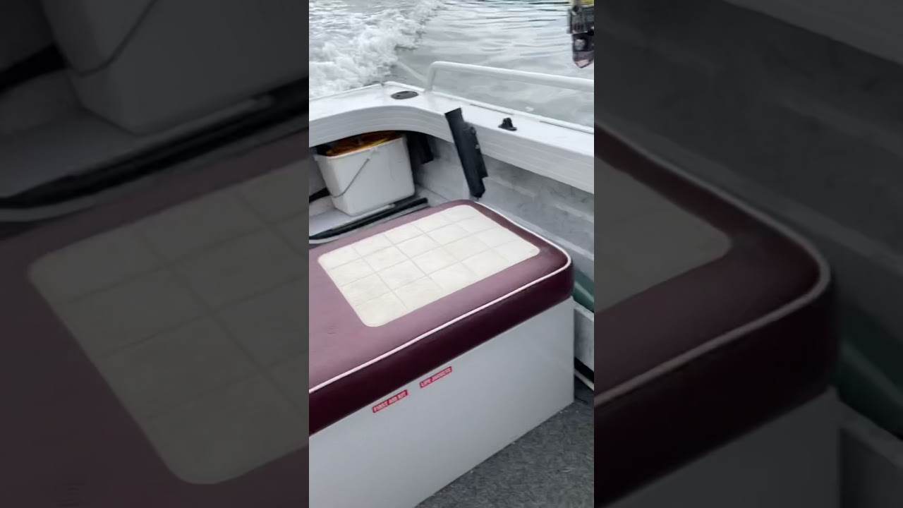 1995 Evinrude throttle problem