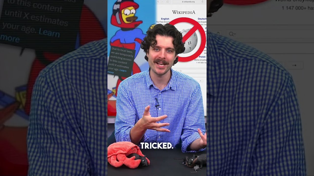 have you successfully tricked the photo age verification face scan? 😅  #vpn  #faceid