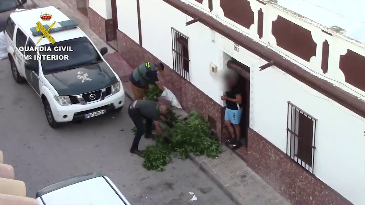 Detenidas 36 personas por cultivo y tráfico de marihuana en dos operaciones en Cádiz y Córdoba.