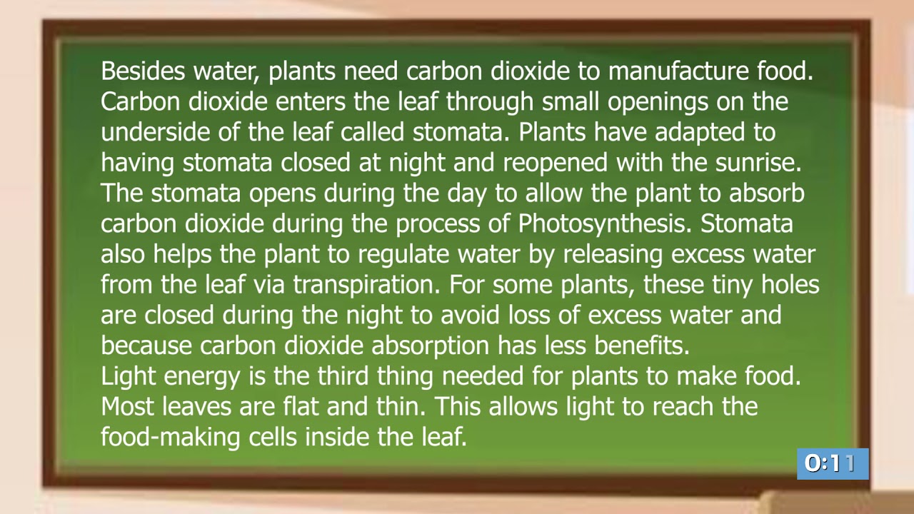 English Language - Grade 7: Reading Skills