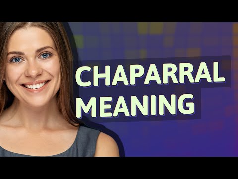 Chaparral | meaning of Chaparral