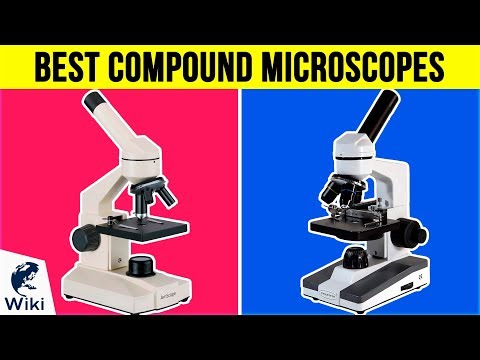 Compound Microscope - Bright-Field Microscope Latest Price ...