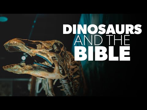 Dinosaurs and the Bible | Creation Questions