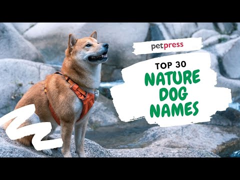 ๐บ 30 Of The Best Nature Dog Names That Will Inspire You ๐ฆ | PetPress